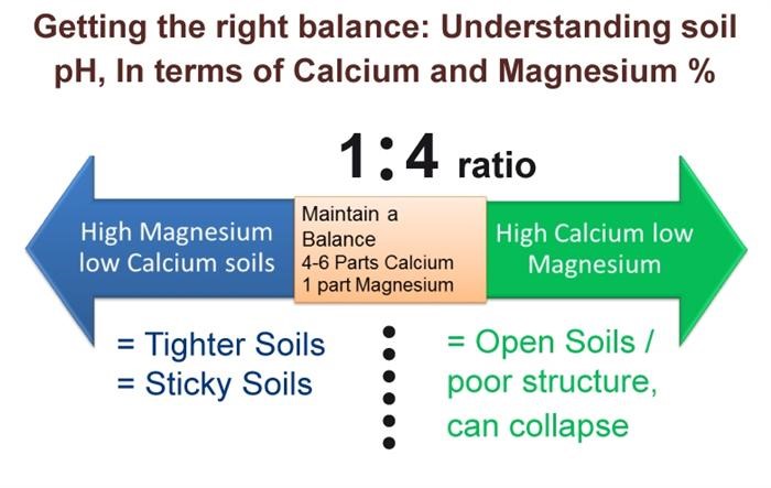 Nutrient of the Month – Calcium – “I’m the biggest dude in the dirt ...